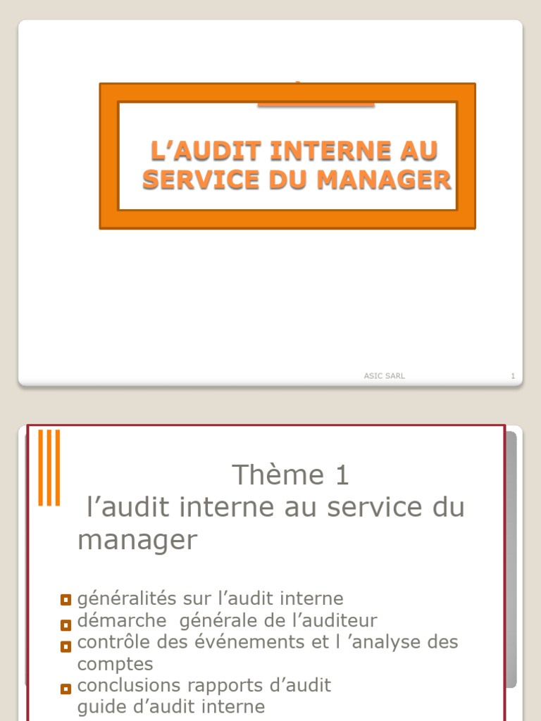 Audit Interne | PDF