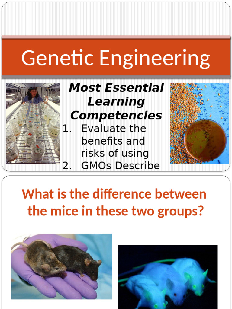 16. Genetic Engineering | PDF