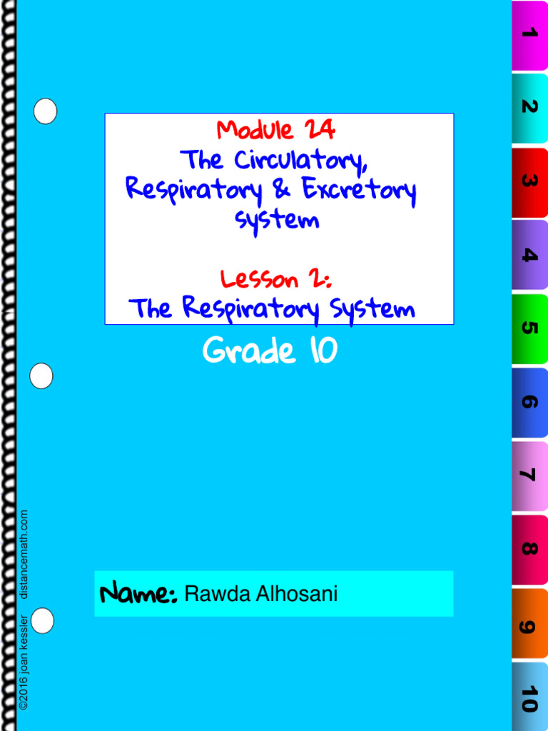 Module 24.2 The Respiratory System Guided Notes | PDF