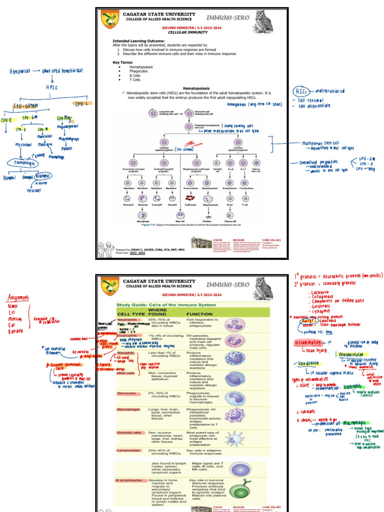 III. Cellular Immunity | PDF