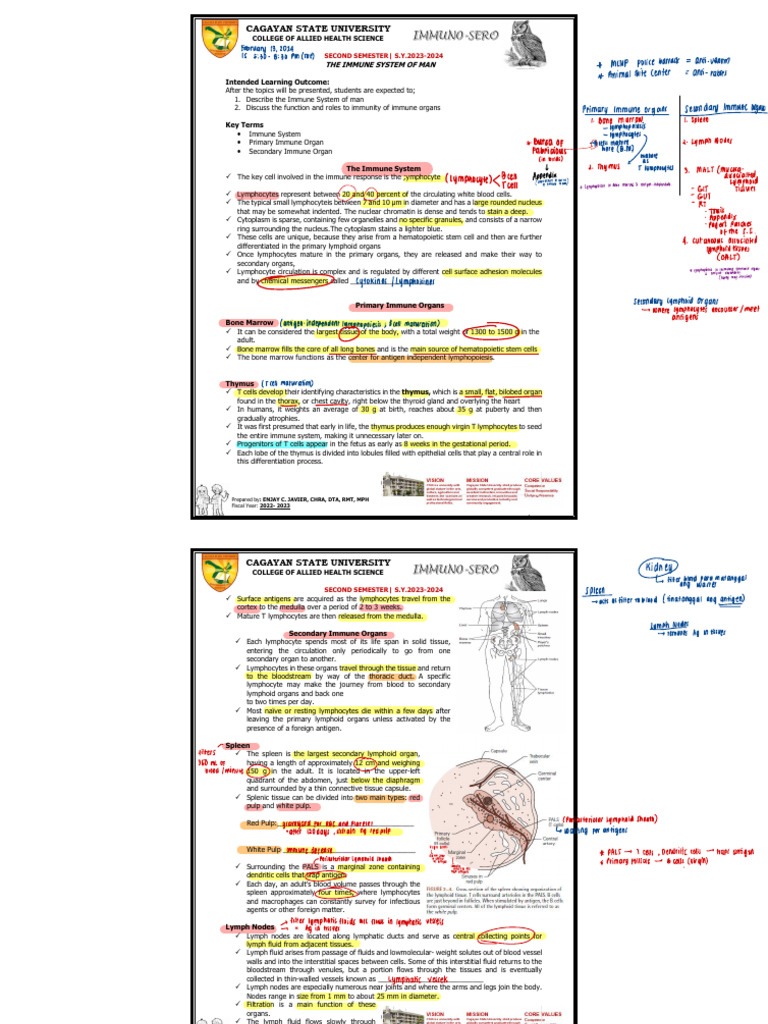 II. The Immune System of A Man | PDF