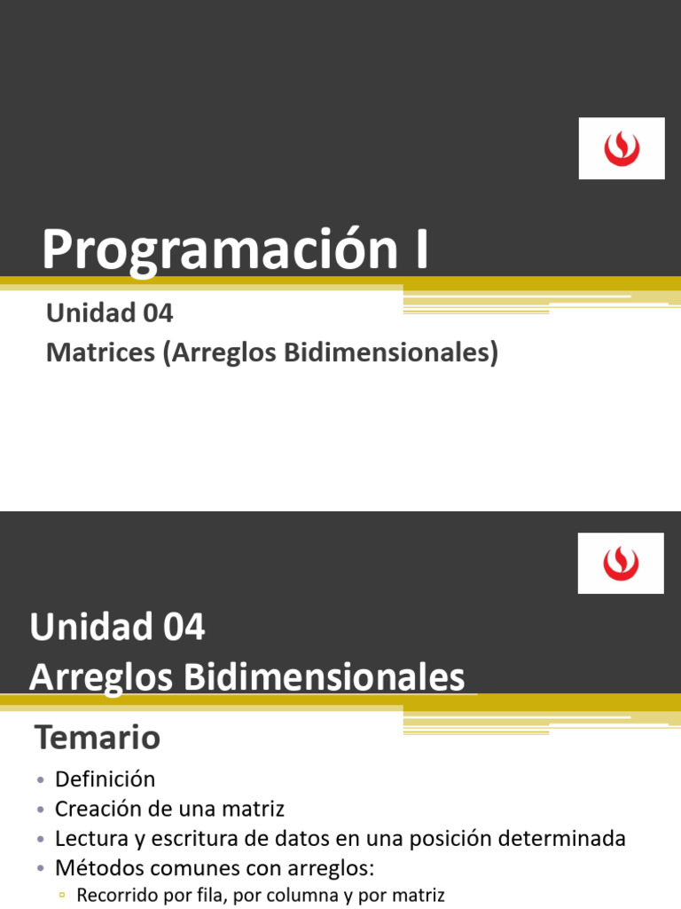 04 Arreglos Bidimensionales | PDF | Matriz (Matemáticas) | Programación de computadoras