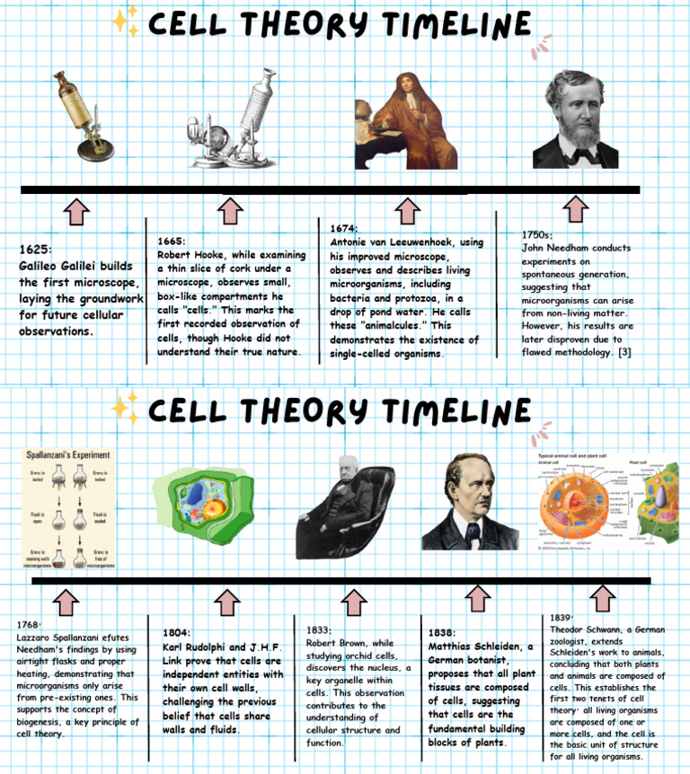 Cell Theory | PDF