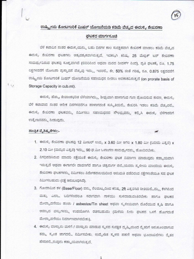 Onion Storage Structure | PDF