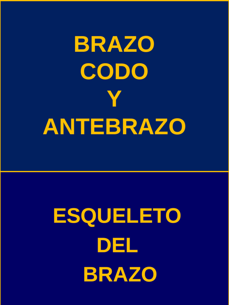 Brazo Codo Y Antebrazo Pdf