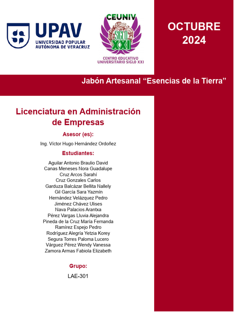 Proyecto Lae 301 | PDF