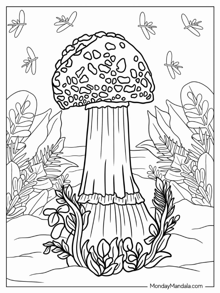 Realistic Looking Mushrooms To Color | PDF
