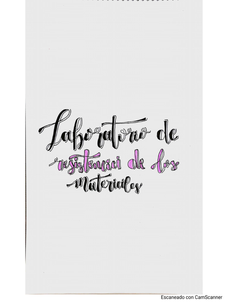 Martinez-Práctico de Centro de Gravedad | PDF