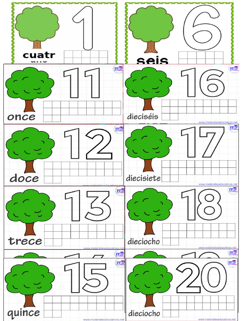 Arbol Num Comp | PDF