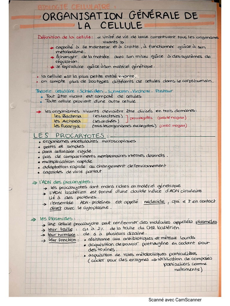 1) Organisation de La Cellule | PDF