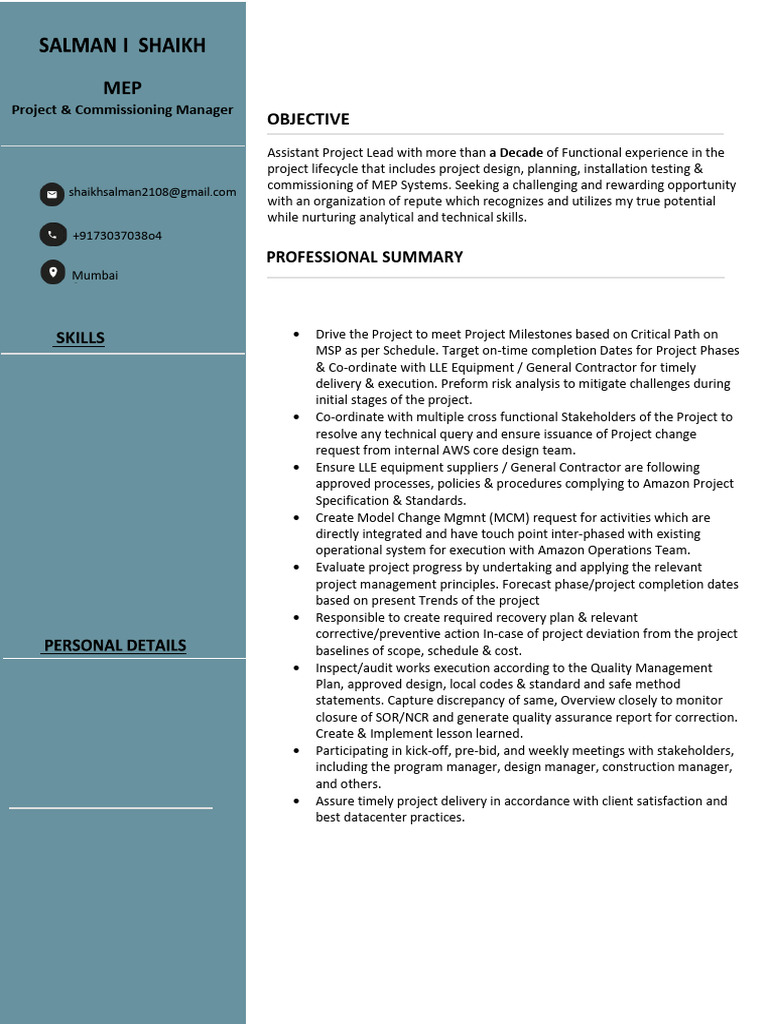 Salman - 2024 - Project & CX Manager CV | PDF