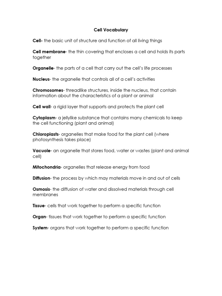 Cell Vocabulary | PDF