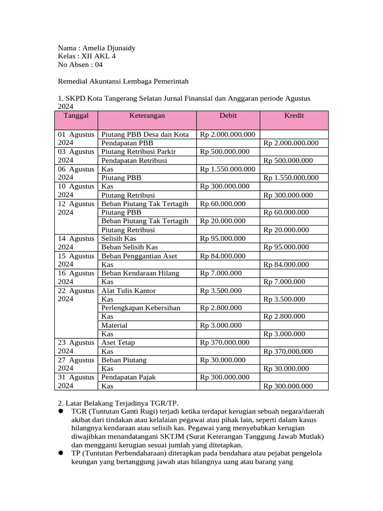 Akuntansi Pemerintah - Amel | PDF