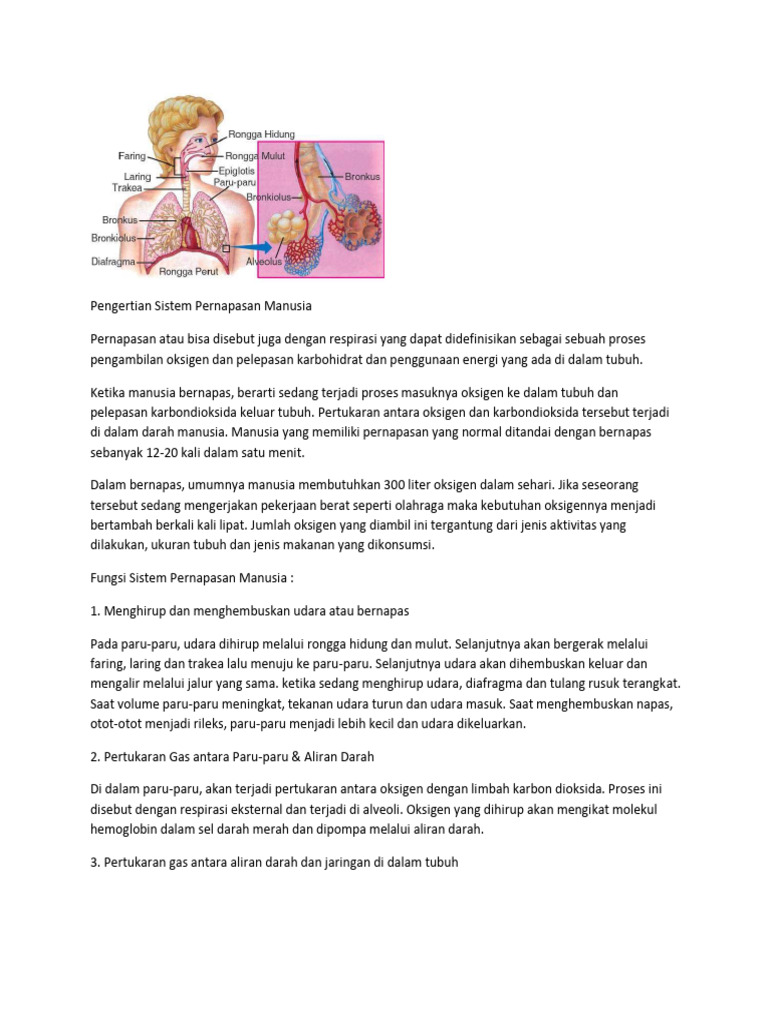 Pengertian Sist-WPS Office | PDF