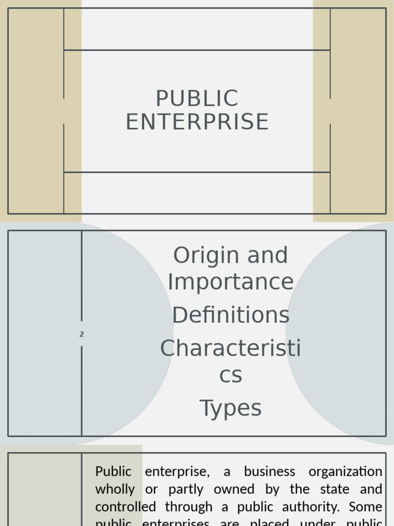 Public-enterprise | PDF