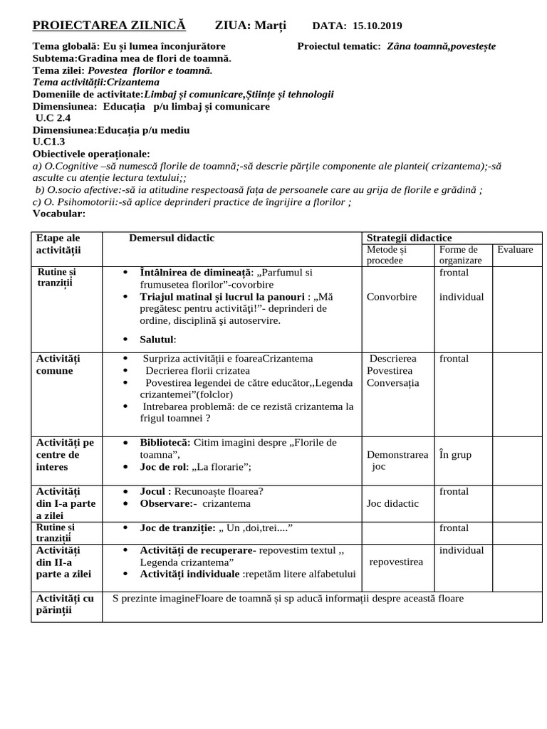 Proiectarea Zilnică 6 | PDF