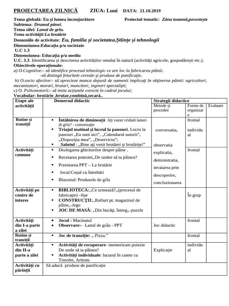 Proiectarea Zilnică 8 | PDF