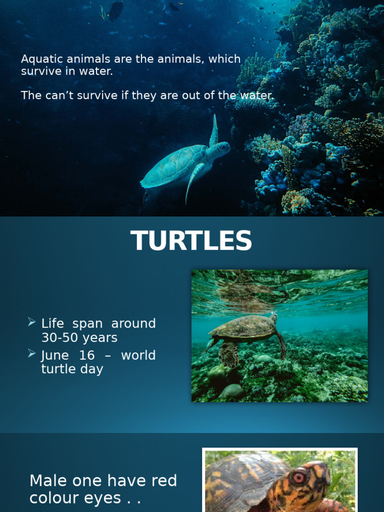 Aquatic Creatures | PDF | Science & Mathematics