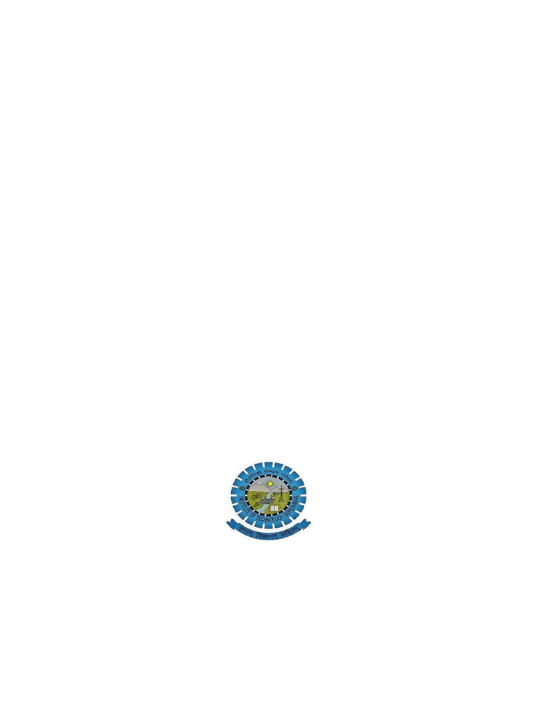 Major Report | PDF