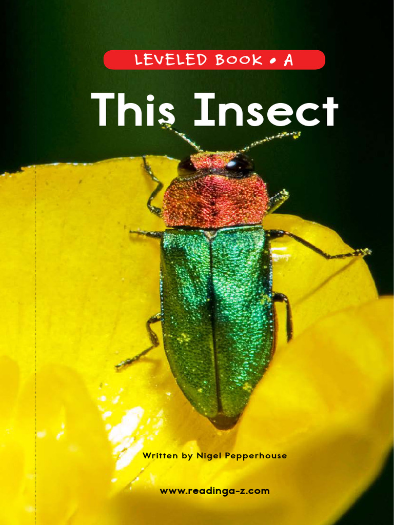 RAZ A This Insect | PDF