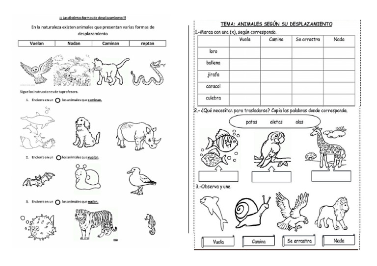 Como Se Desplazan Los Animales | PDF