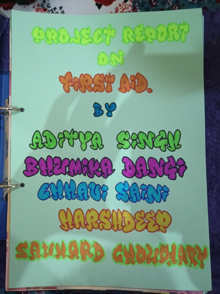 Seva Project 2024 | PDF