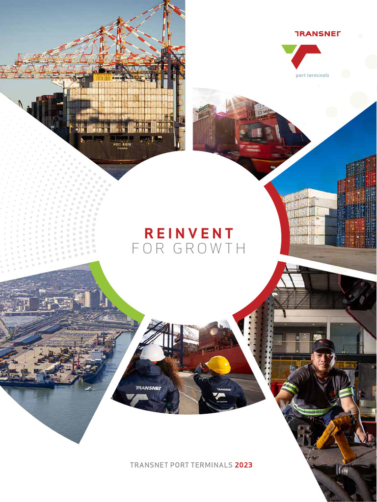 Transnet Port Terminals Report | PDF