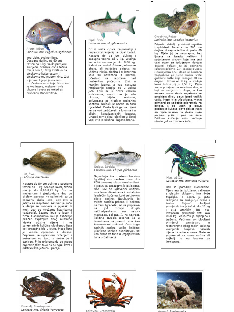 Jadransko More | PDF