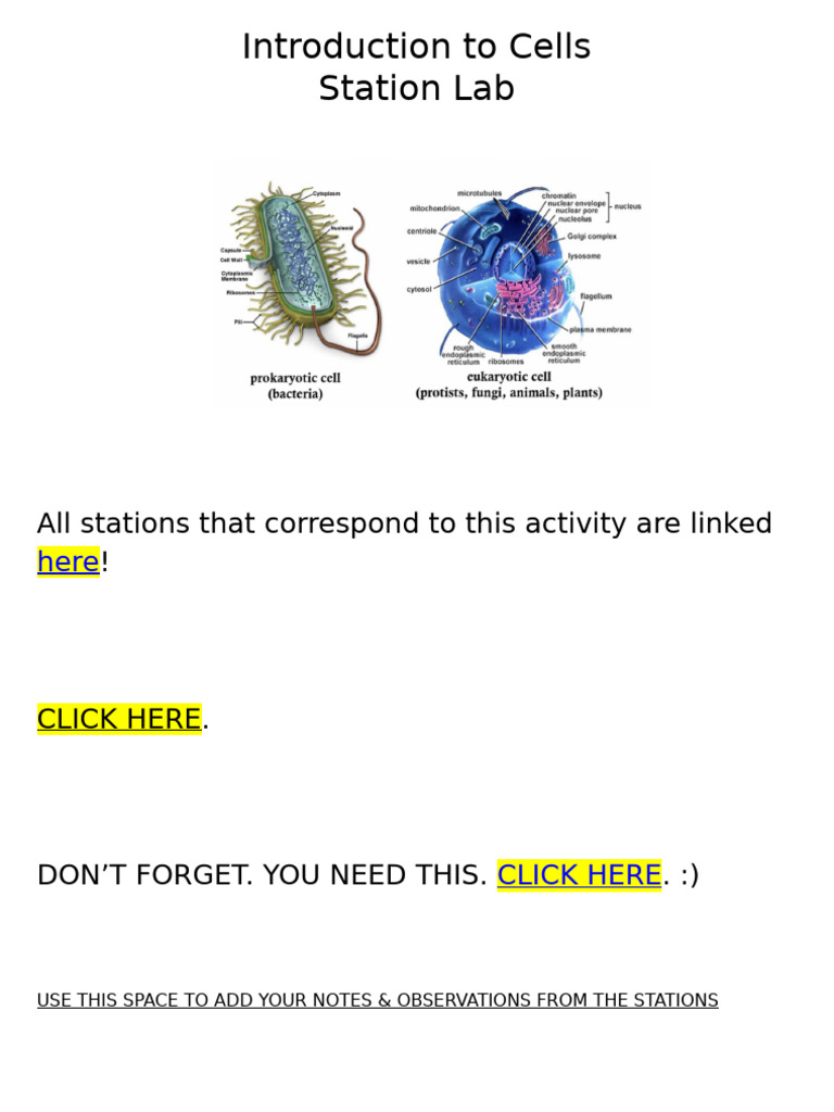 Jason Wang - KAP Bio 24-25 Cells Station | PDF