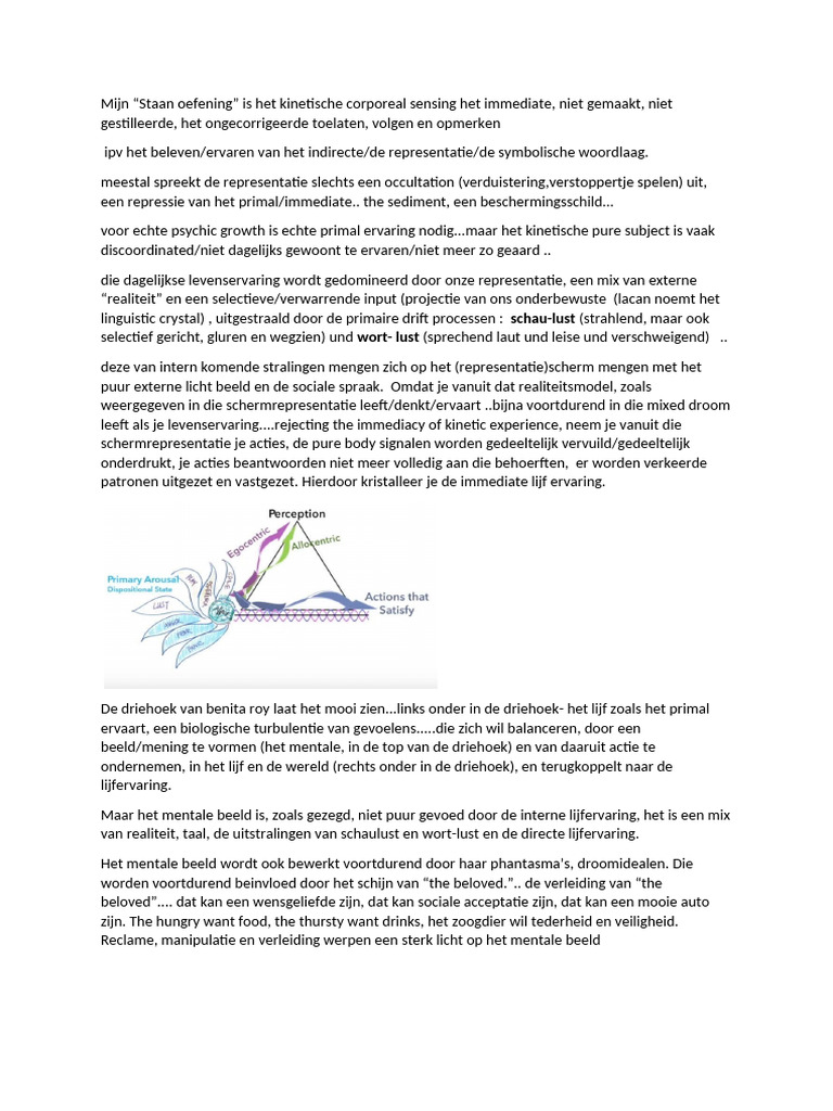 Kinetische Corporeal Sensing Het Immediate v2 | PDF
