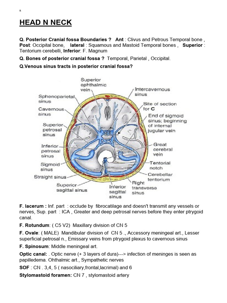Anatomy Compilation Solved Singh Pdf