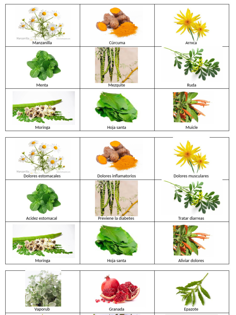 Memorama de Plantas Medicinales Infantil | PDF