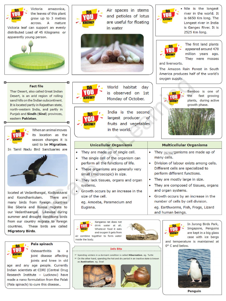 Biology Box English | PDF
