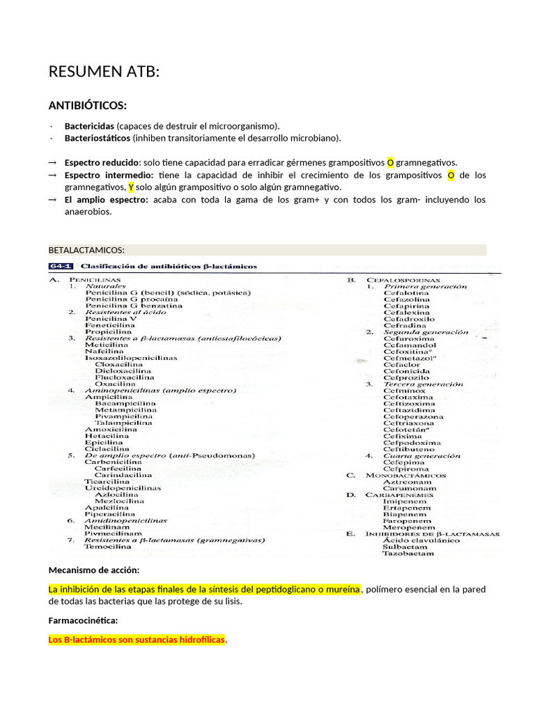 RESUMEN ATB | PDF