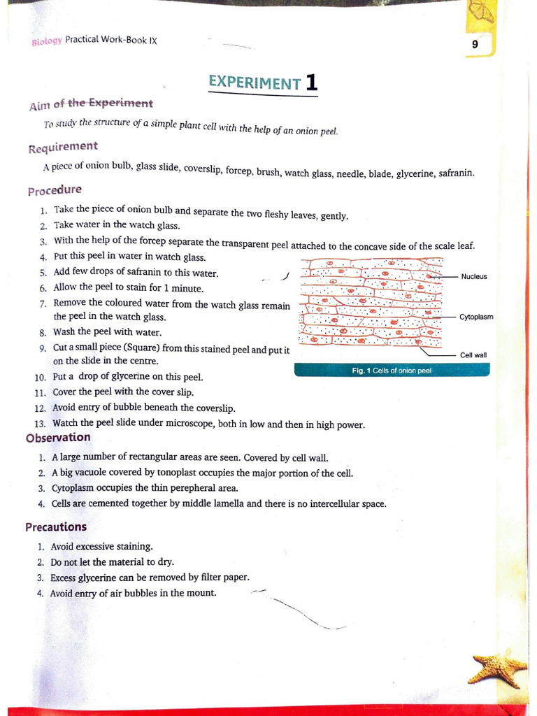 Biology Practical Work Class 9 PDF | PDF