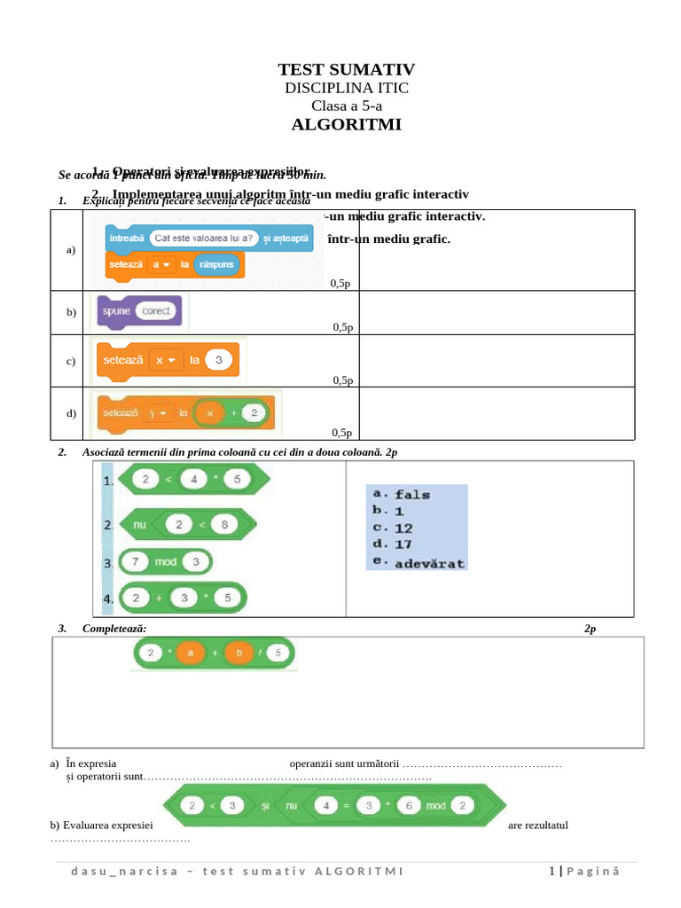 Test - Sumativ - Clasa - A - 9a Algoritmi | PDF