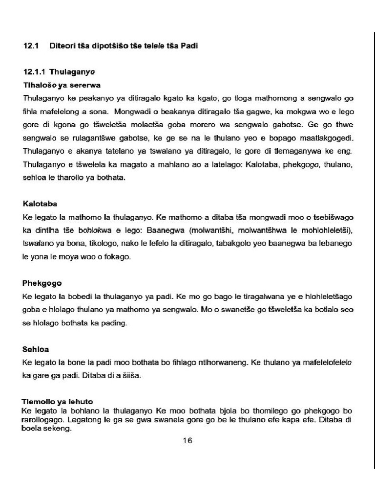 Thulaganyo Kts | PDF