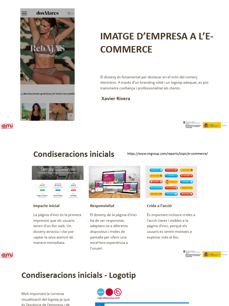 La Importancia Del Disseny en Un Comerc Electronic | PDF