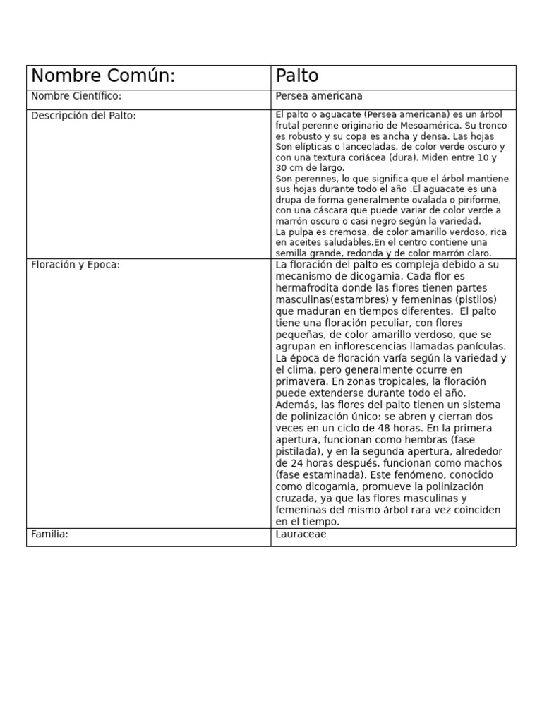 FD Ficha Del Palto | PDF