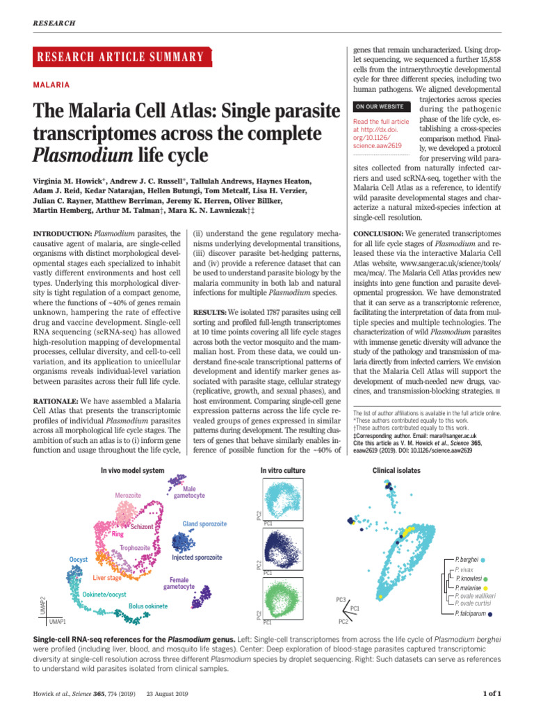 The Malaria Cell Atlas | PDF