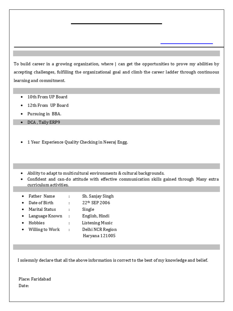 Sonveer Singh RESUME Updated | PDF