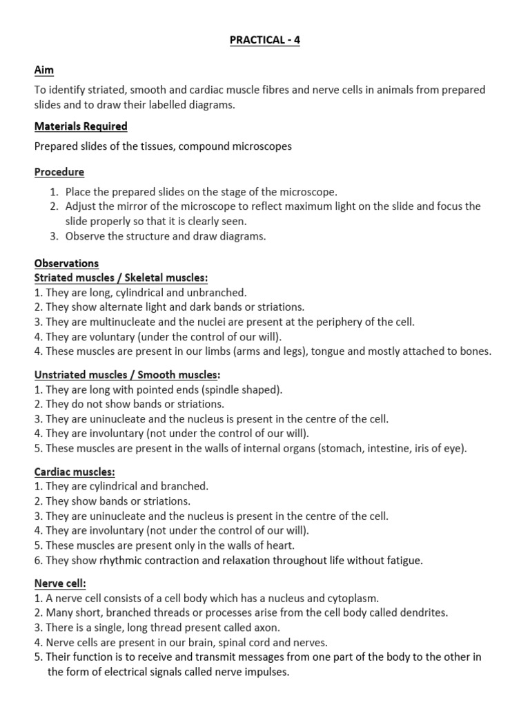 Practical4 - Biology Class9 | PDF