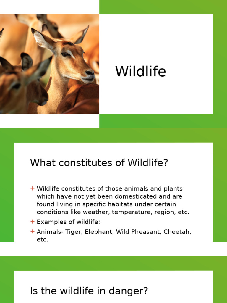 Wildlife | PDF