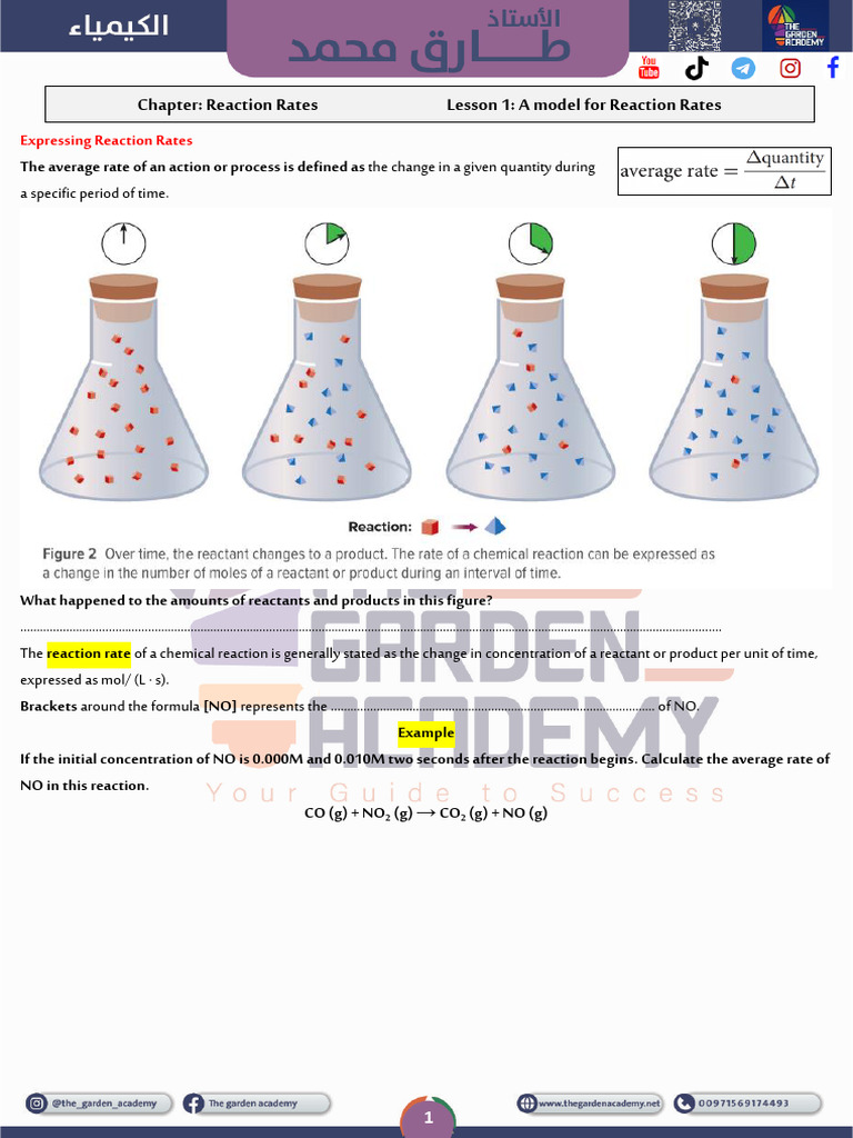 Chapter_2_Lesson_1 | PDF