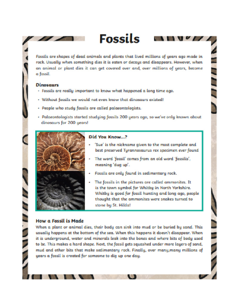 Bronze Reading Comprehension | PDF