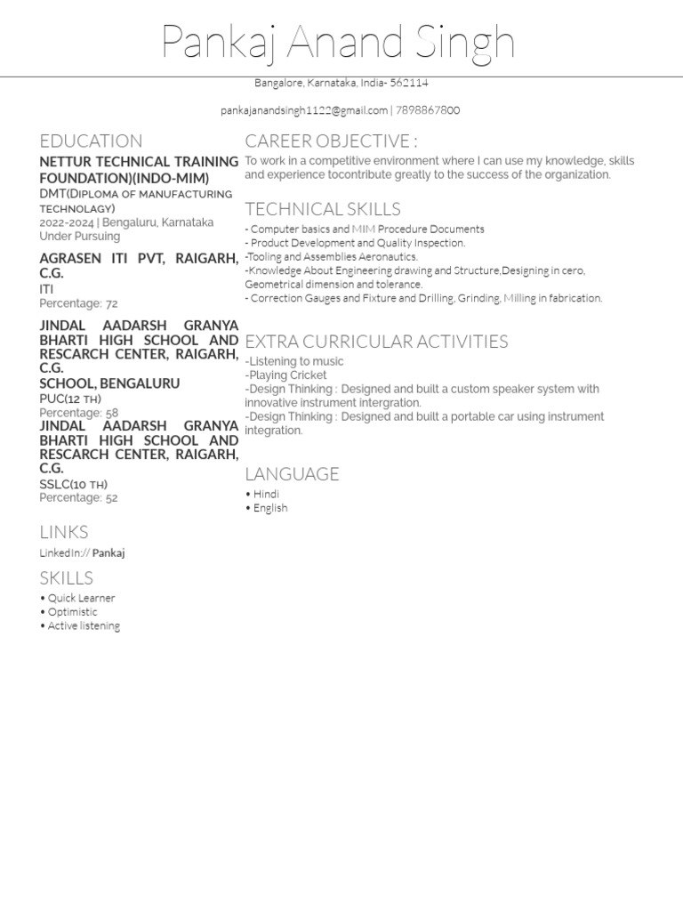 Pankaj CV 2024 | PDF