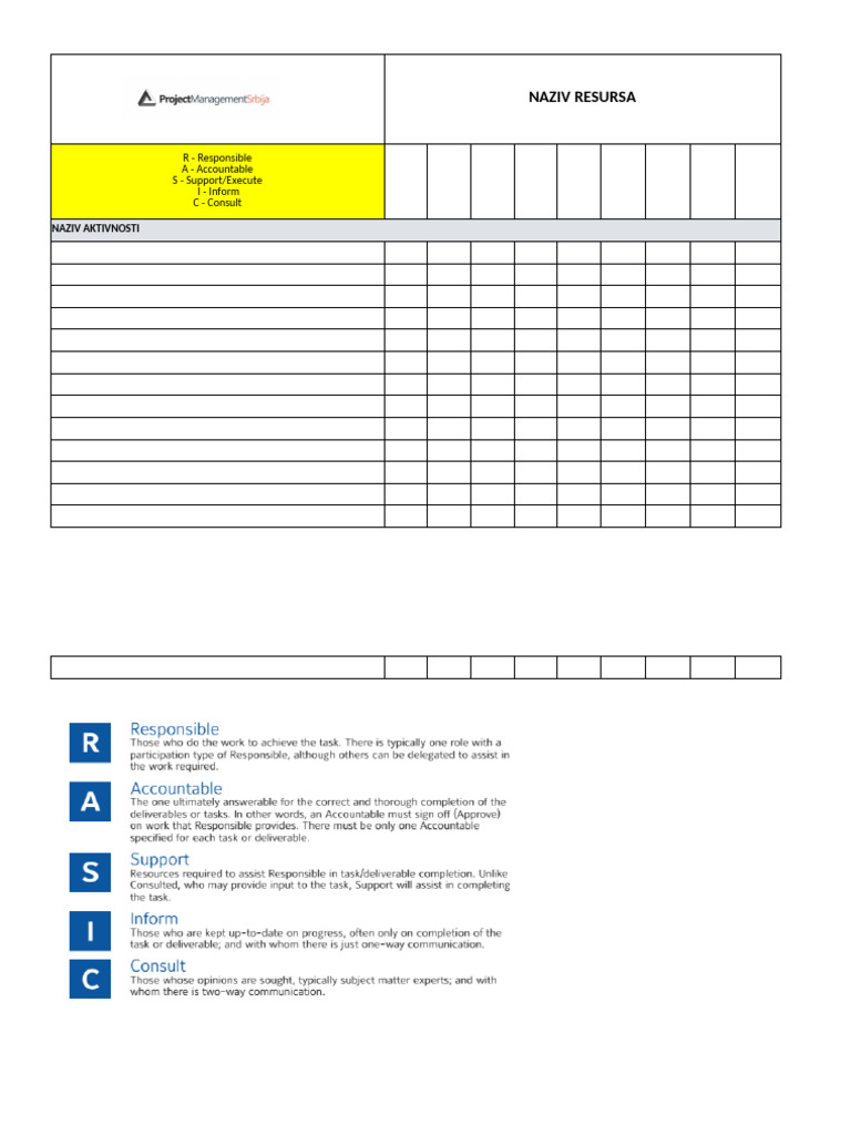 9 RASIC matrix | PDF