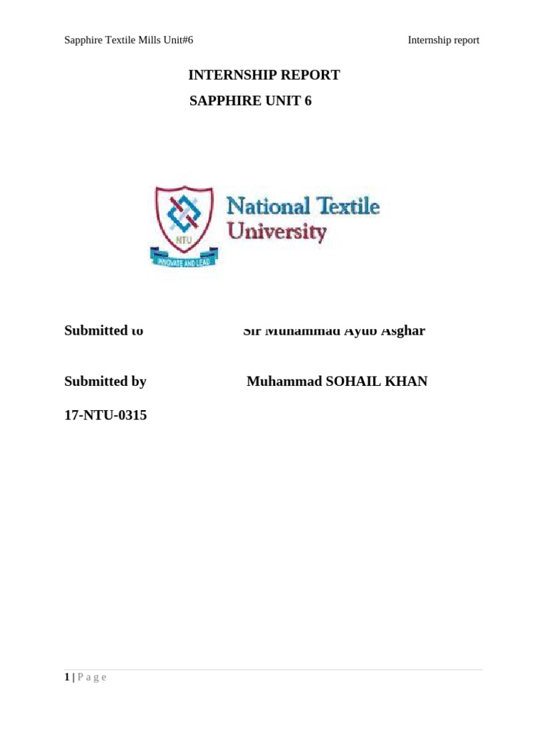 Final Internship Report | PDF