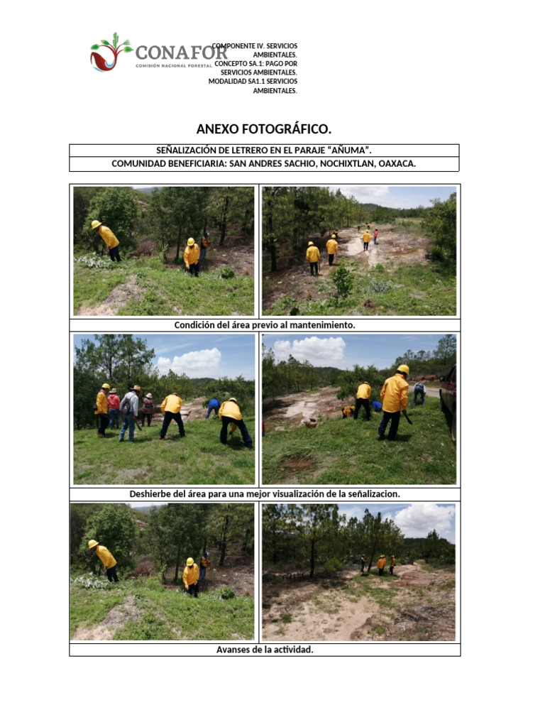 Anexo Fotografico Señalización 1-2 | PDF