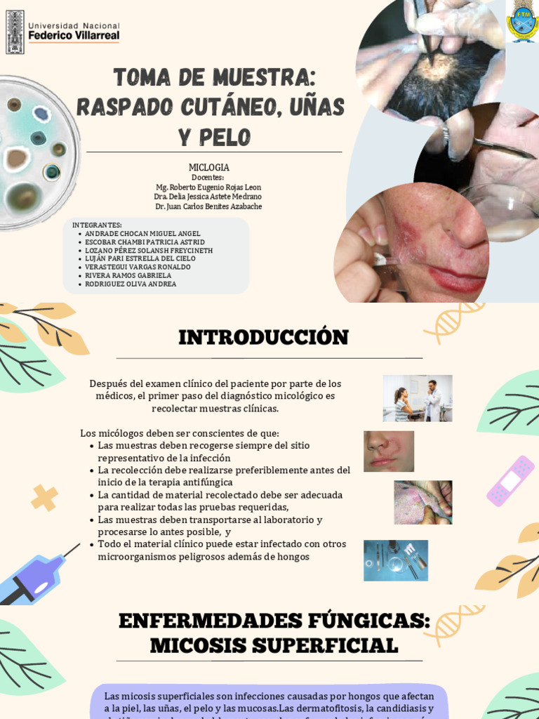 TOMA DE MUESTRA RASPADO CUTÁNEO, UÑAS Y PELO | PDF